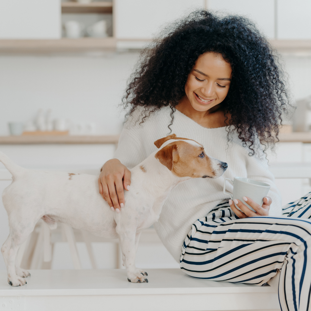 Set Your Design Goals for the New Year: Create Your Dream Home